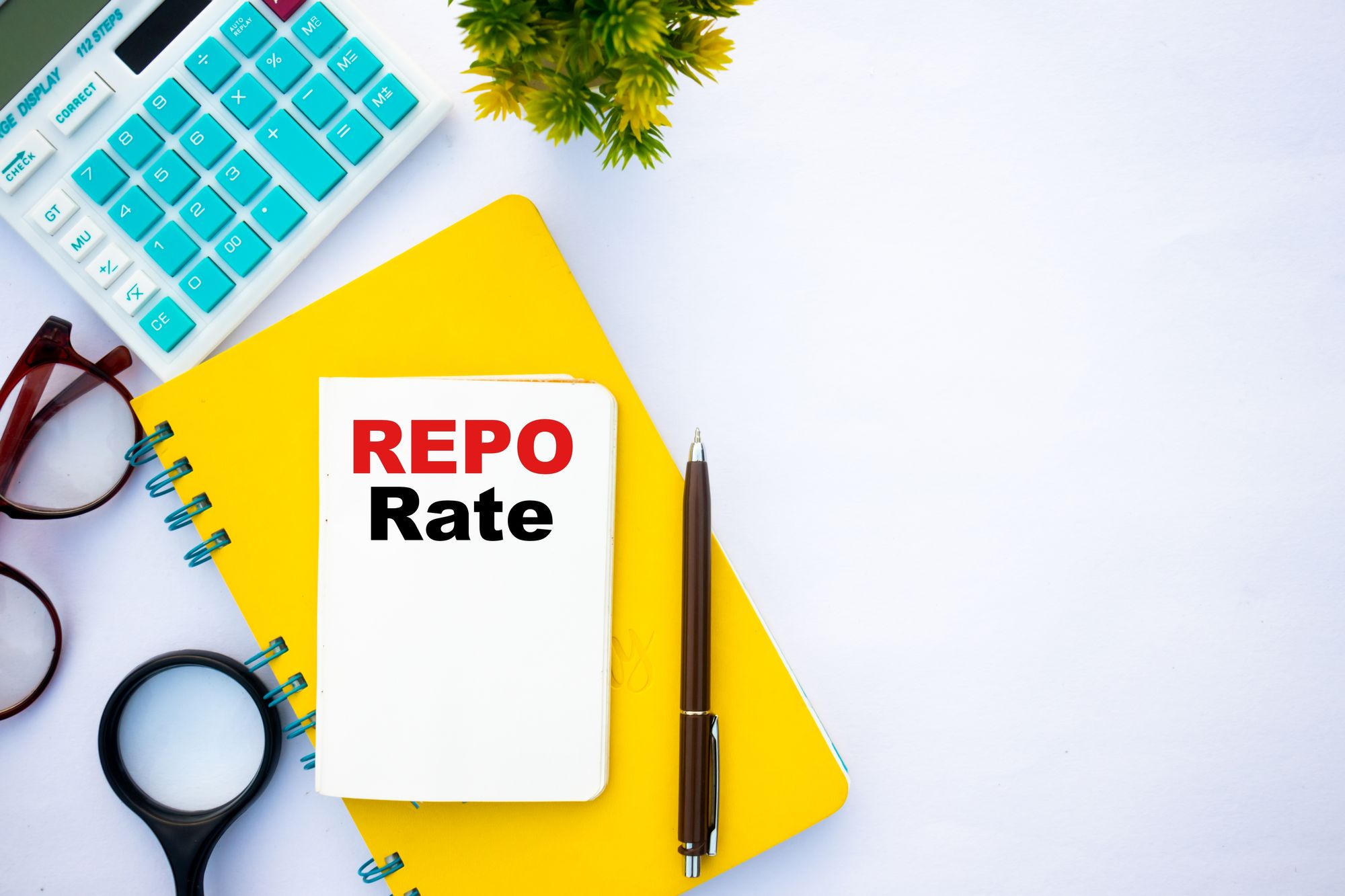What is Repo Rate? How Does it Affect the Economy?